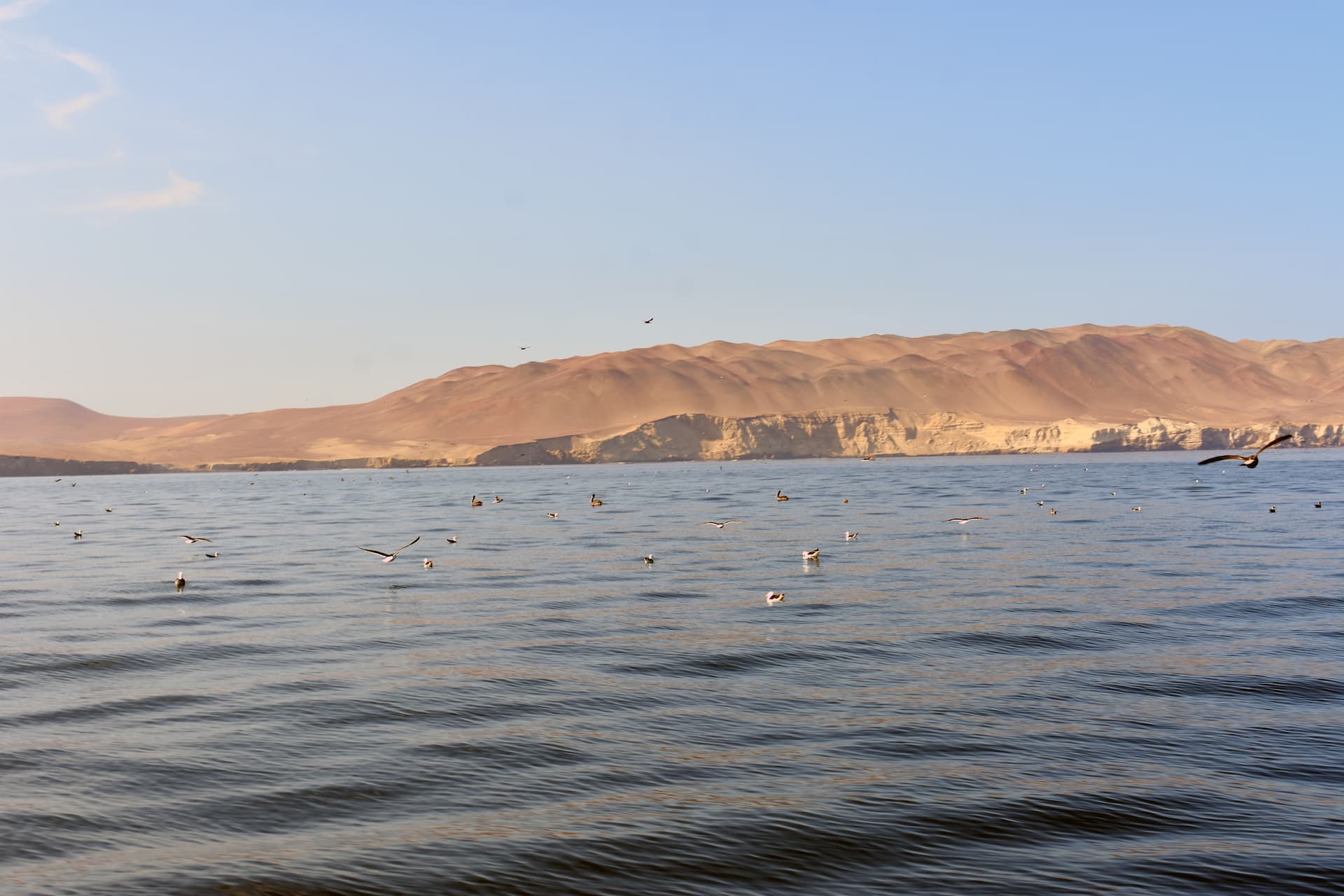 Ballestas Island & Nazca Lines from Pisco Full Day Tour by Private Car ...